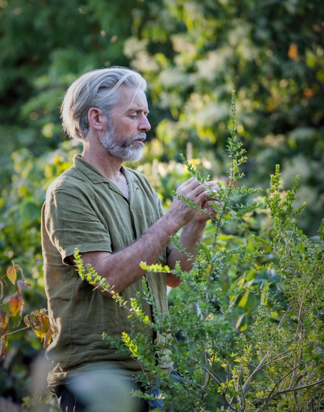 Monday March 3rd: Unusual Evergreens with Nick Macer – Wyche & Colwall ...
